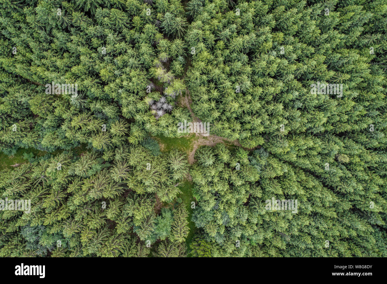 The Central Bohemian Region is an administrative unit of the Czech ...