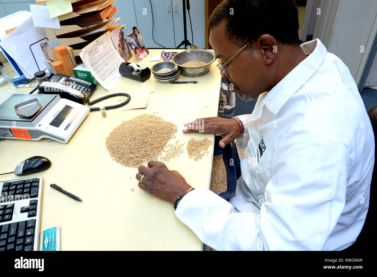 Grain inspection hi-res stock photography and images - Alamy