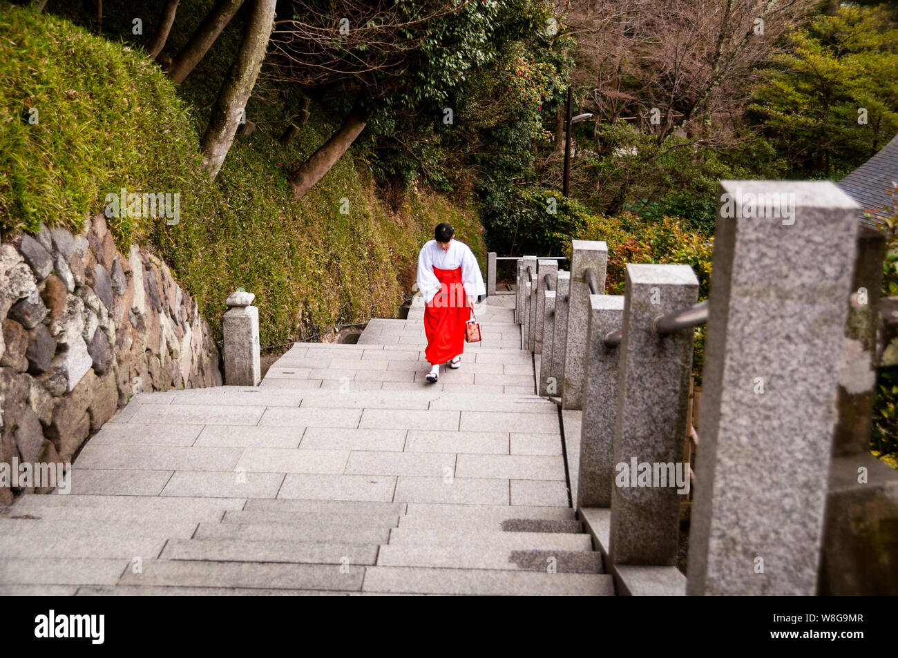 A Japanese worker in traditional clothing climbs steps to the Shinto ...
