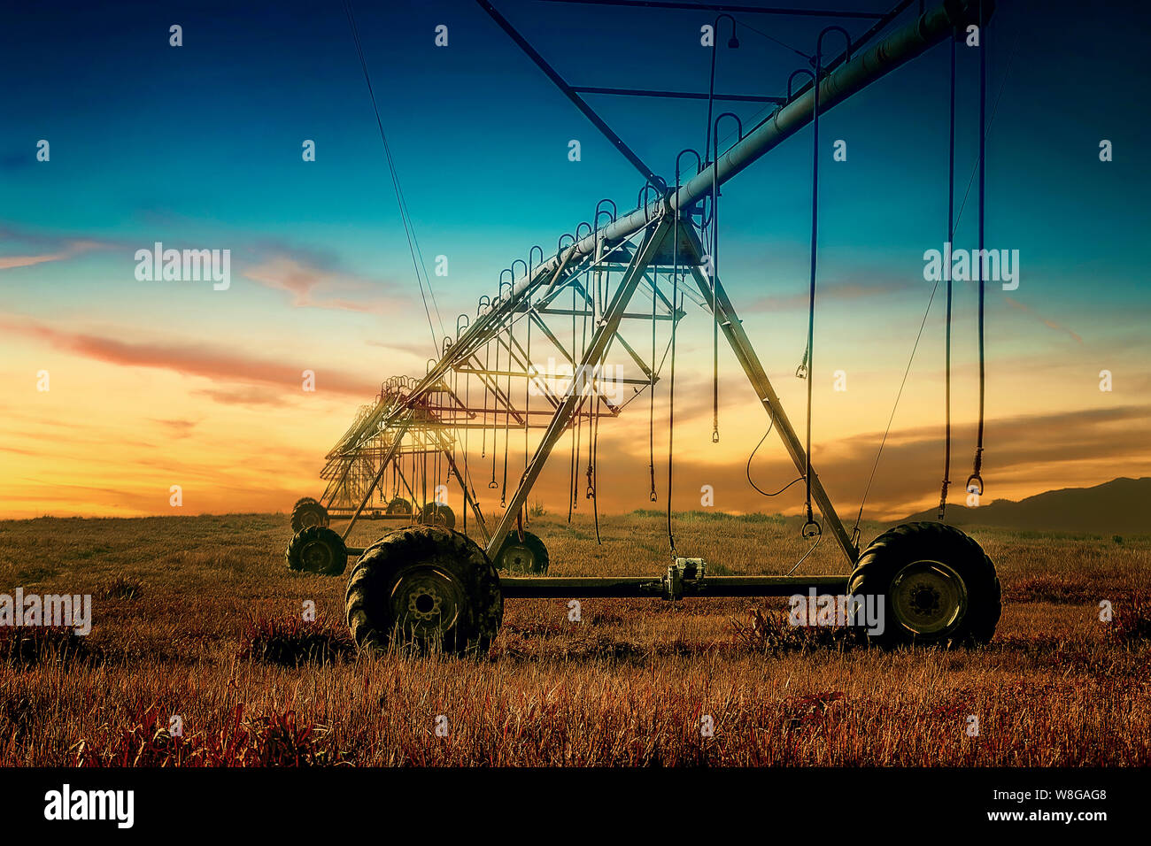 Water Sprinkler with Crop Field. Irrigation equipment on green fields ...