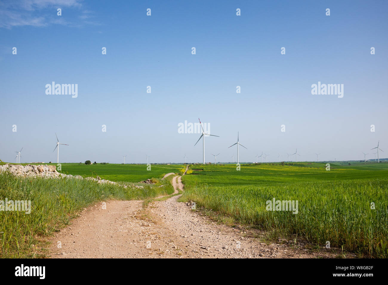 Landscape of Murgia with gravel road heading to a wind farm. Puglia ...