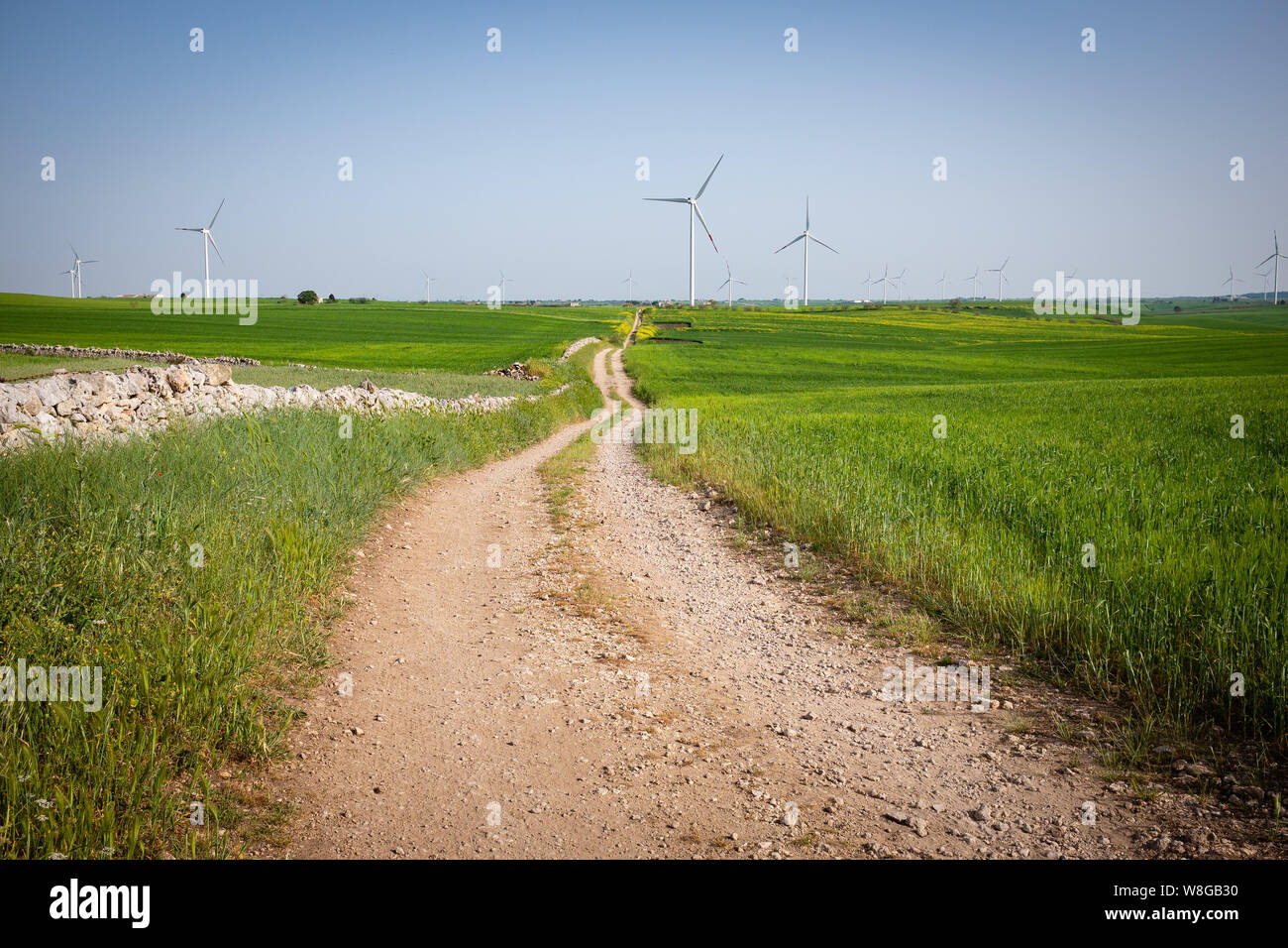 Landscape of Murgia with gravel road heading to a wind farm. Puglia ...