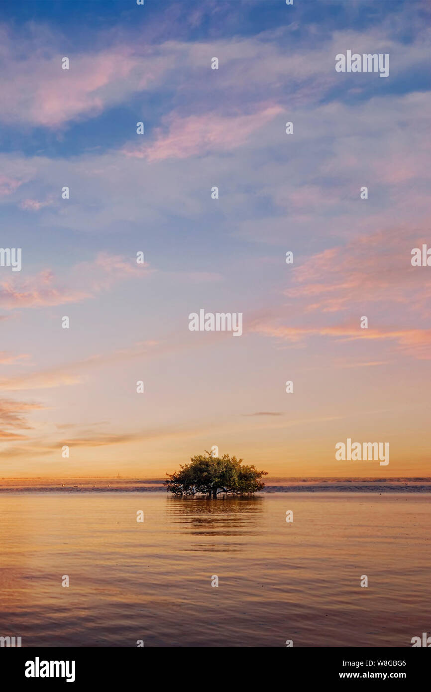 Al wakra beach hi-res stock photography and images - Alamy