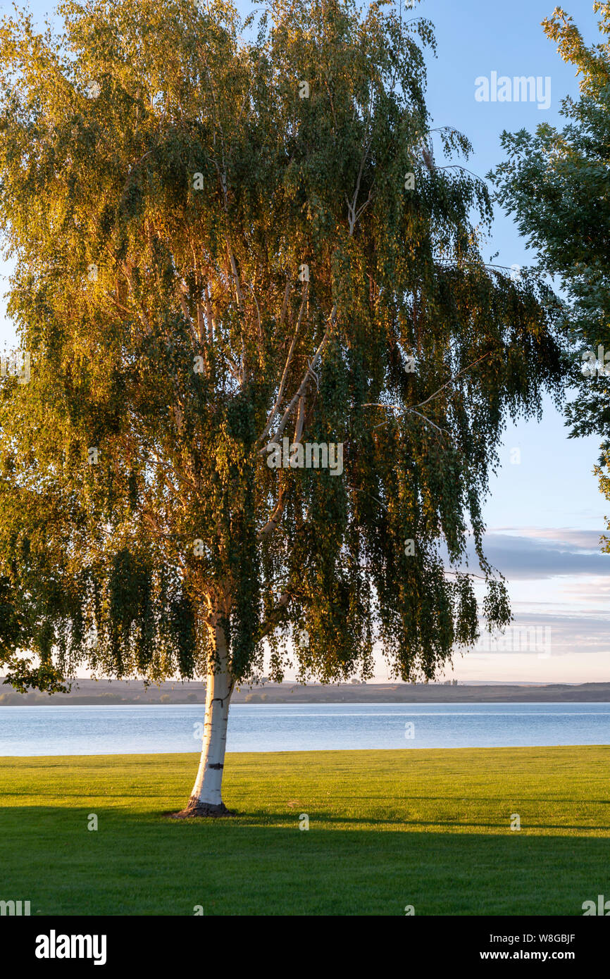 Outdoor nature sunlight on river hi-res stock photography and images ...
