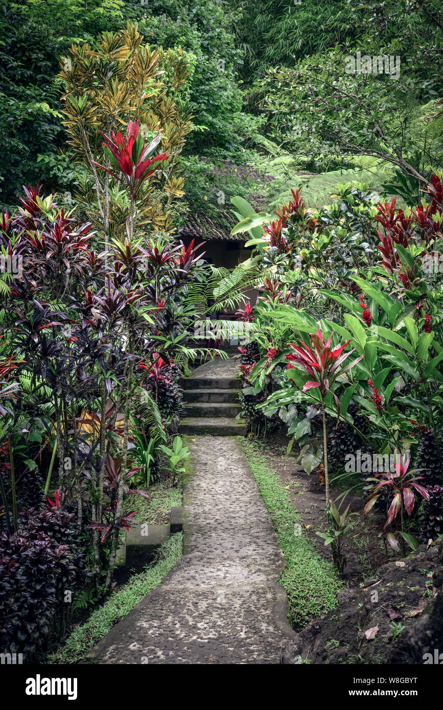 Bali indonesia stairs hi-res stock photography and images - Alamy