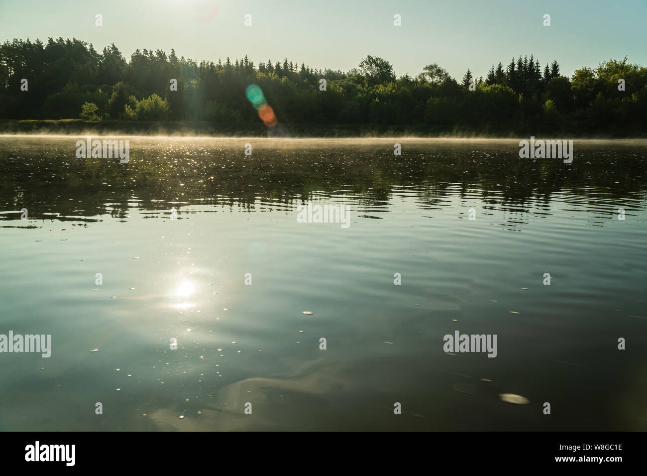 Sun reflecting on plants hi-res stock photography and images - Alamy