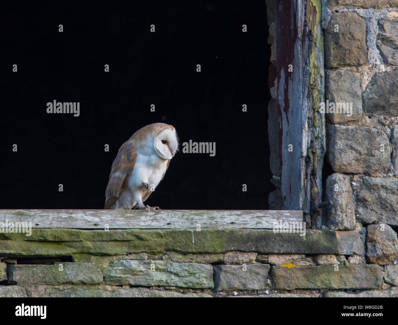 Yorkshire barn hi-res stock photography and images - Alamy