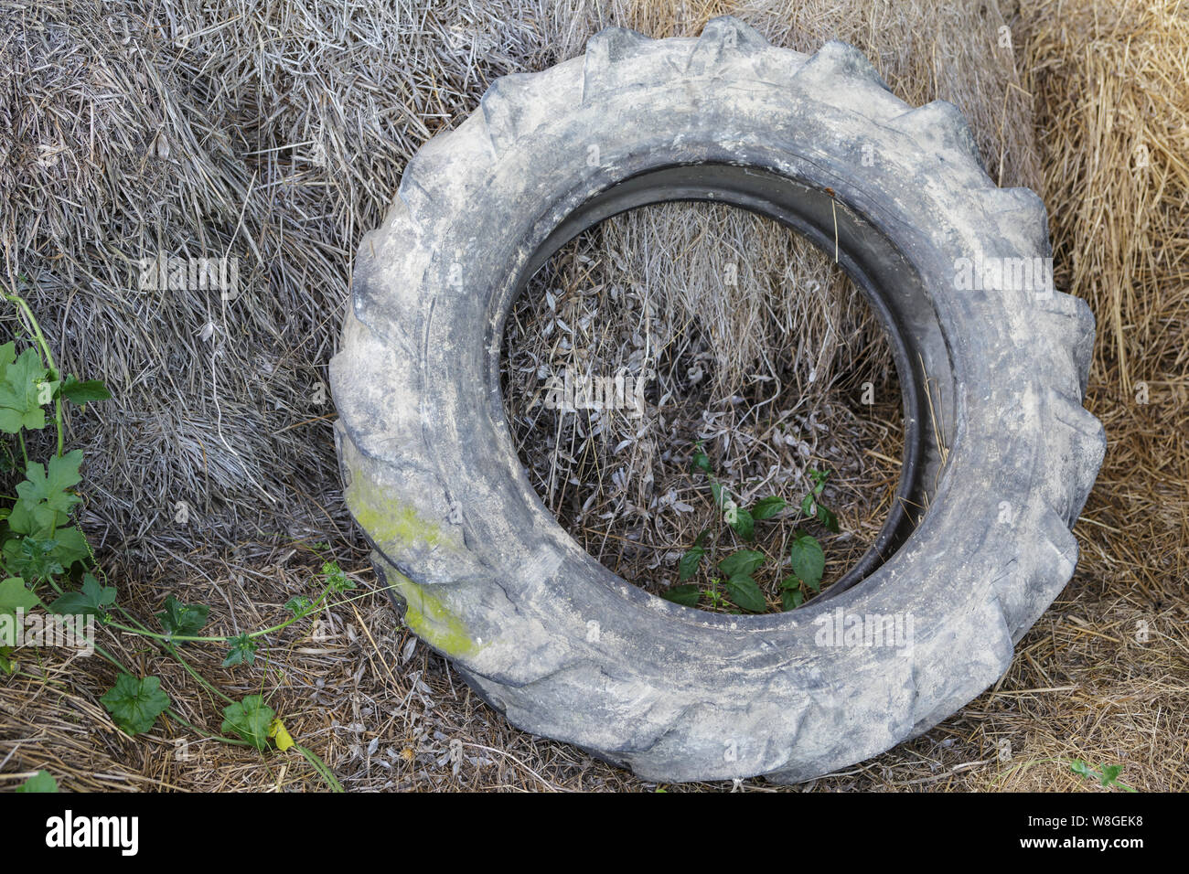 An old tyre in the countryside Stock Photo - Alamy