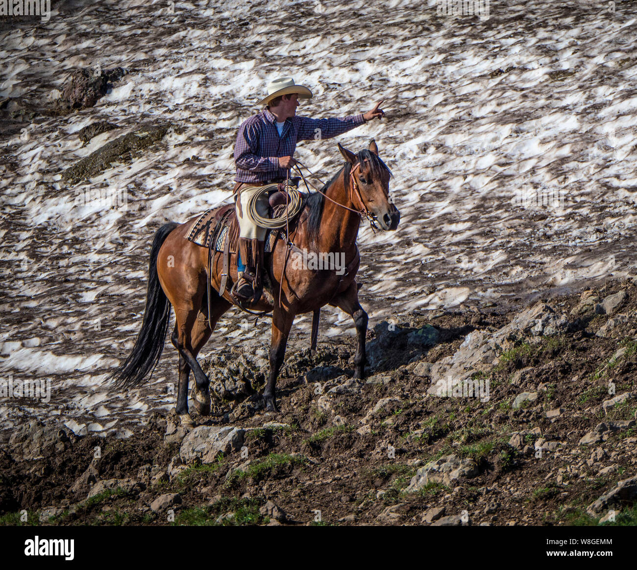 Cowboy riding horse on range hi-res stock photography and images - Alamy