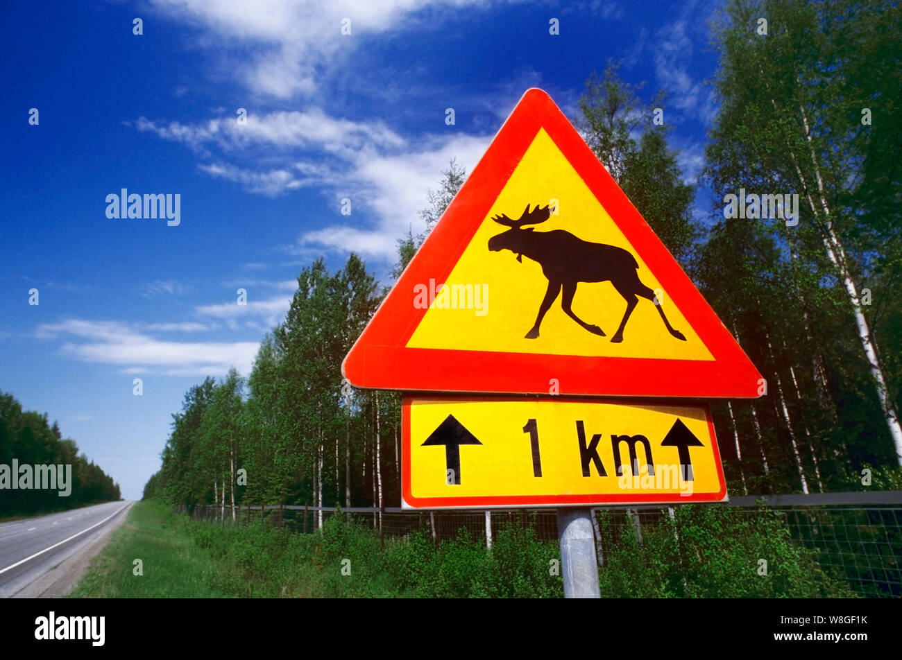 ELK MOOSE Hazard Road sign in Finland warning of wild Elk crossing ...