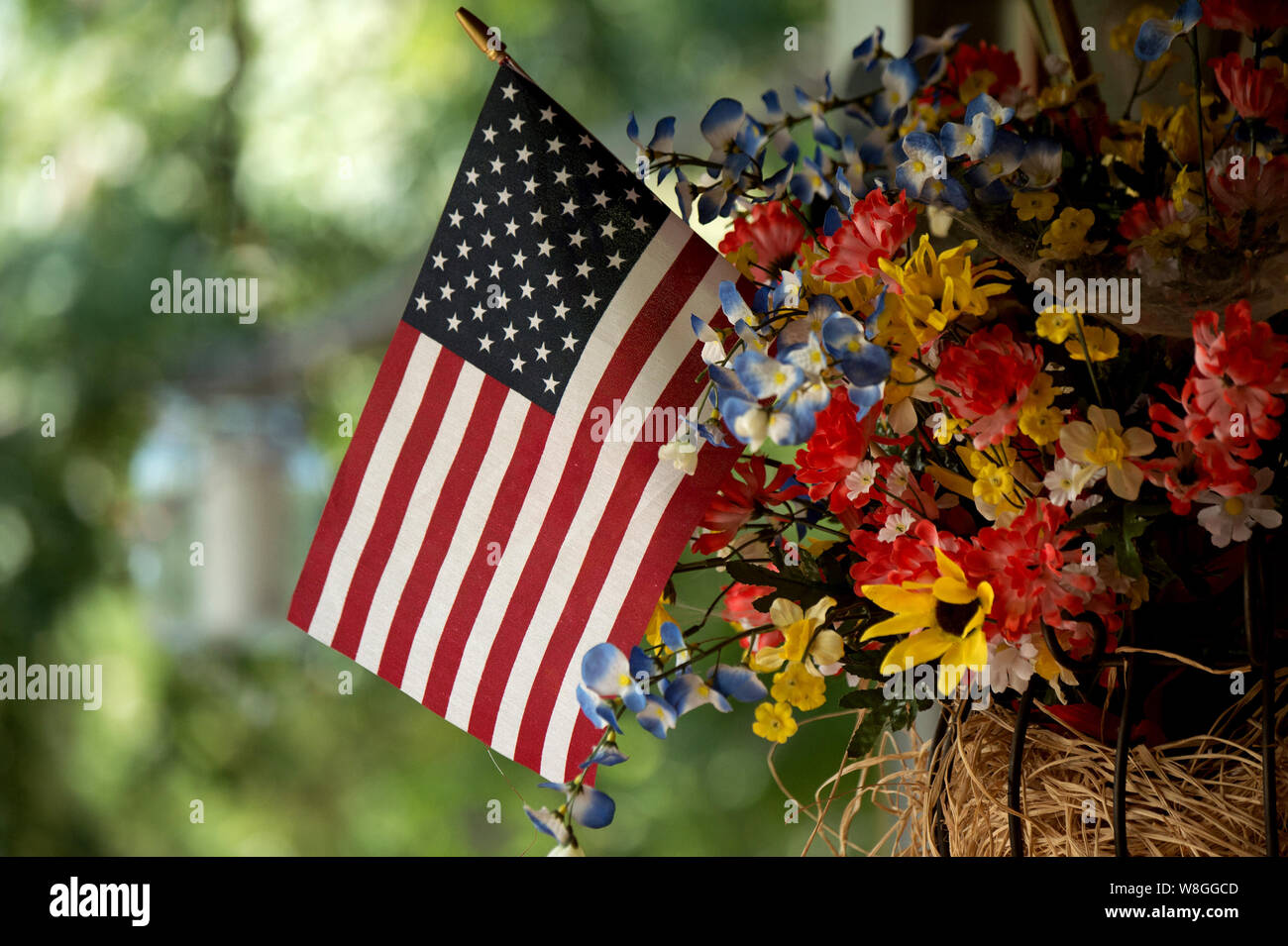 American flag flowers hi-res stock photography and images - Alamy