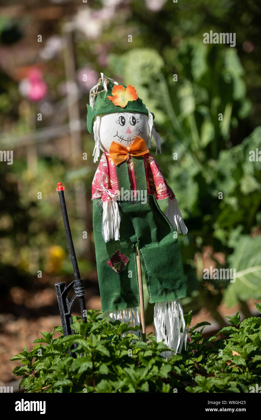 Small scarecrow hi-res stock photography and images - Alamy