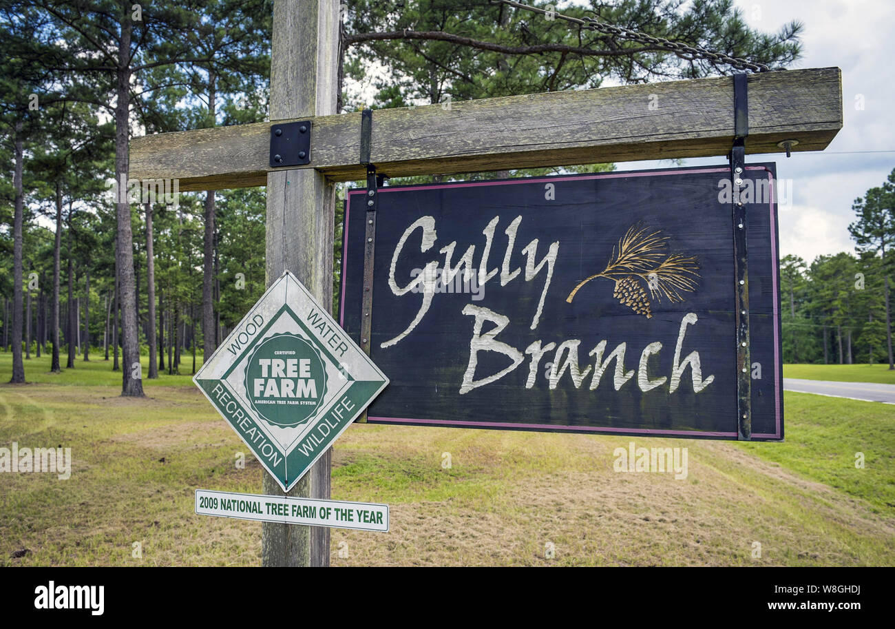 Gully branch sign hi-res stock photography and images - Alamy