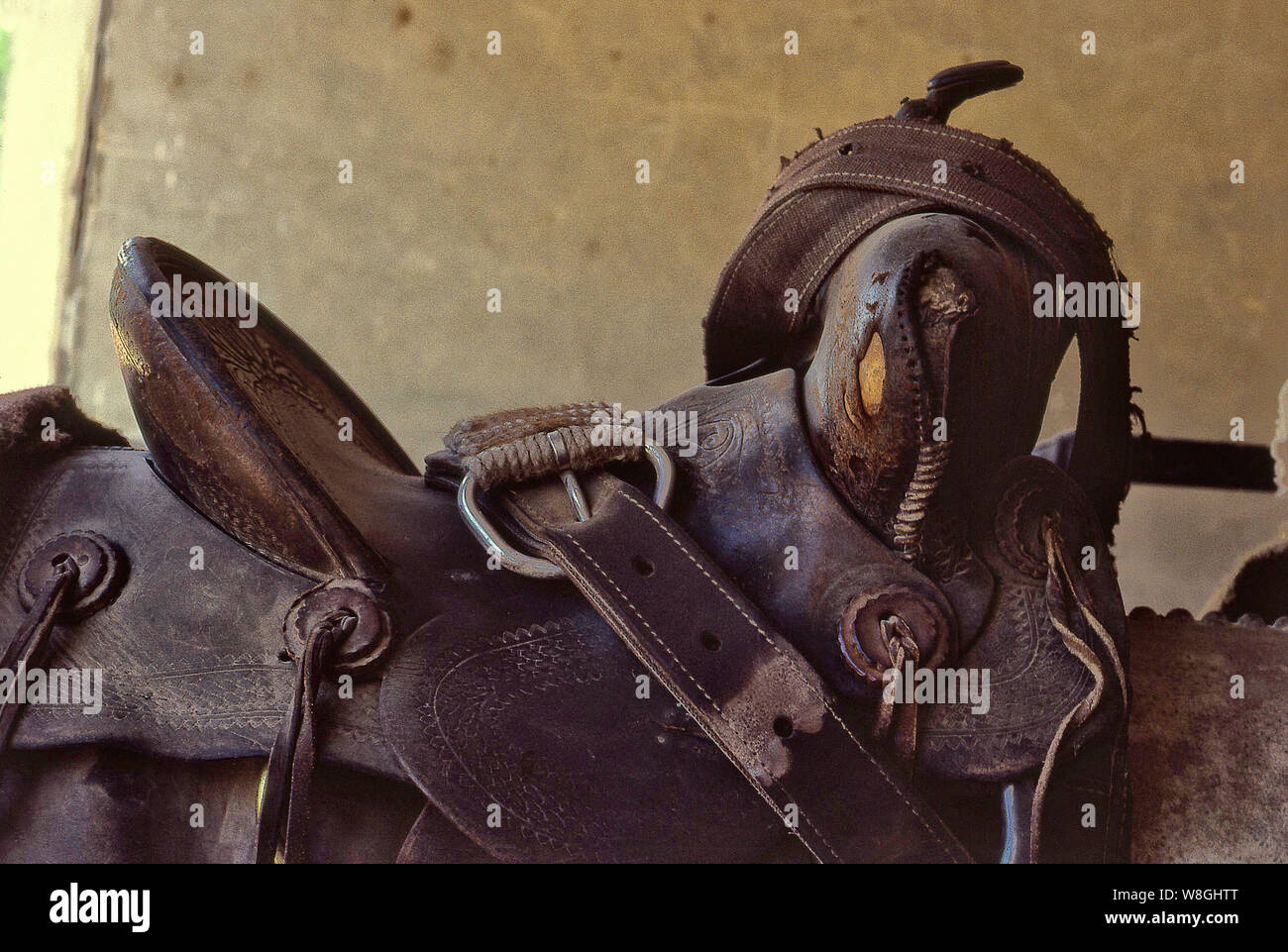 Working cowboys hi-res stock photography and images - Alamy