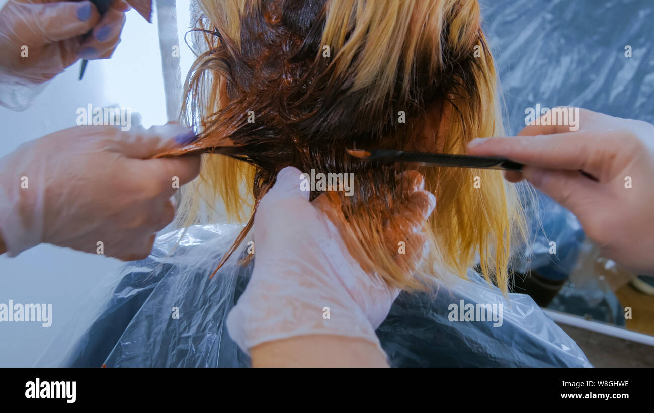 Two professional hairdressers coloring hair of woman client at studio ...