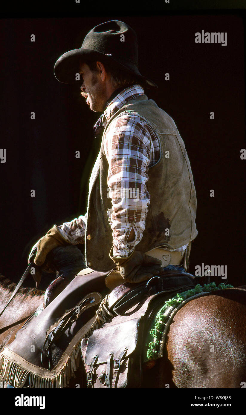 Real cowboys hi-res stock photography and images - Alamy
