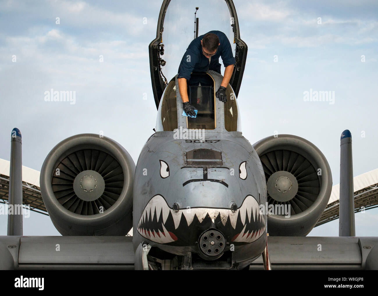 An airman washes the bugs off the window of a fighter jet in 2017 Stock ...