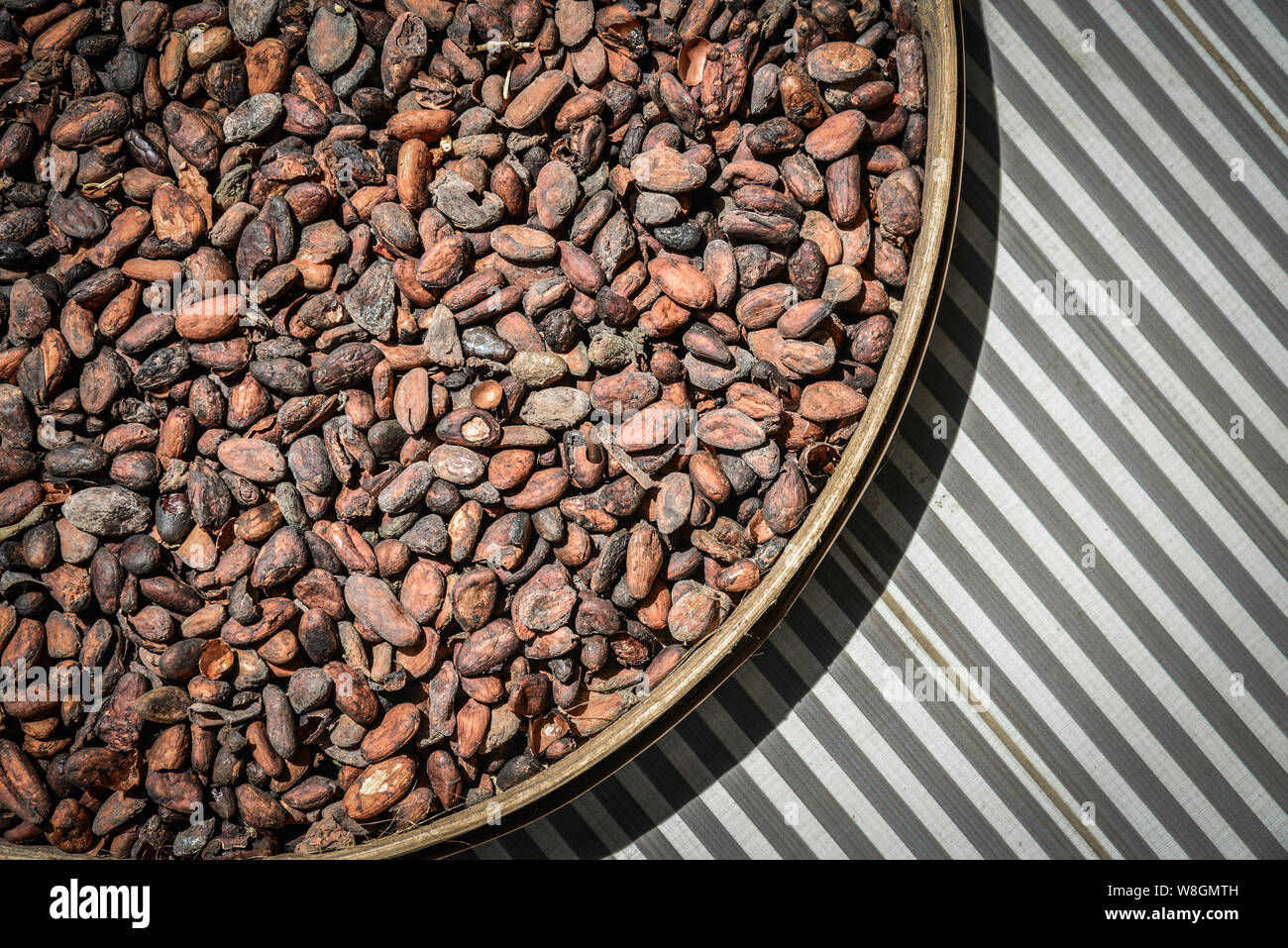 Dry cocoa seeds on round tray outdoor, top view Stock Photo - Alamy