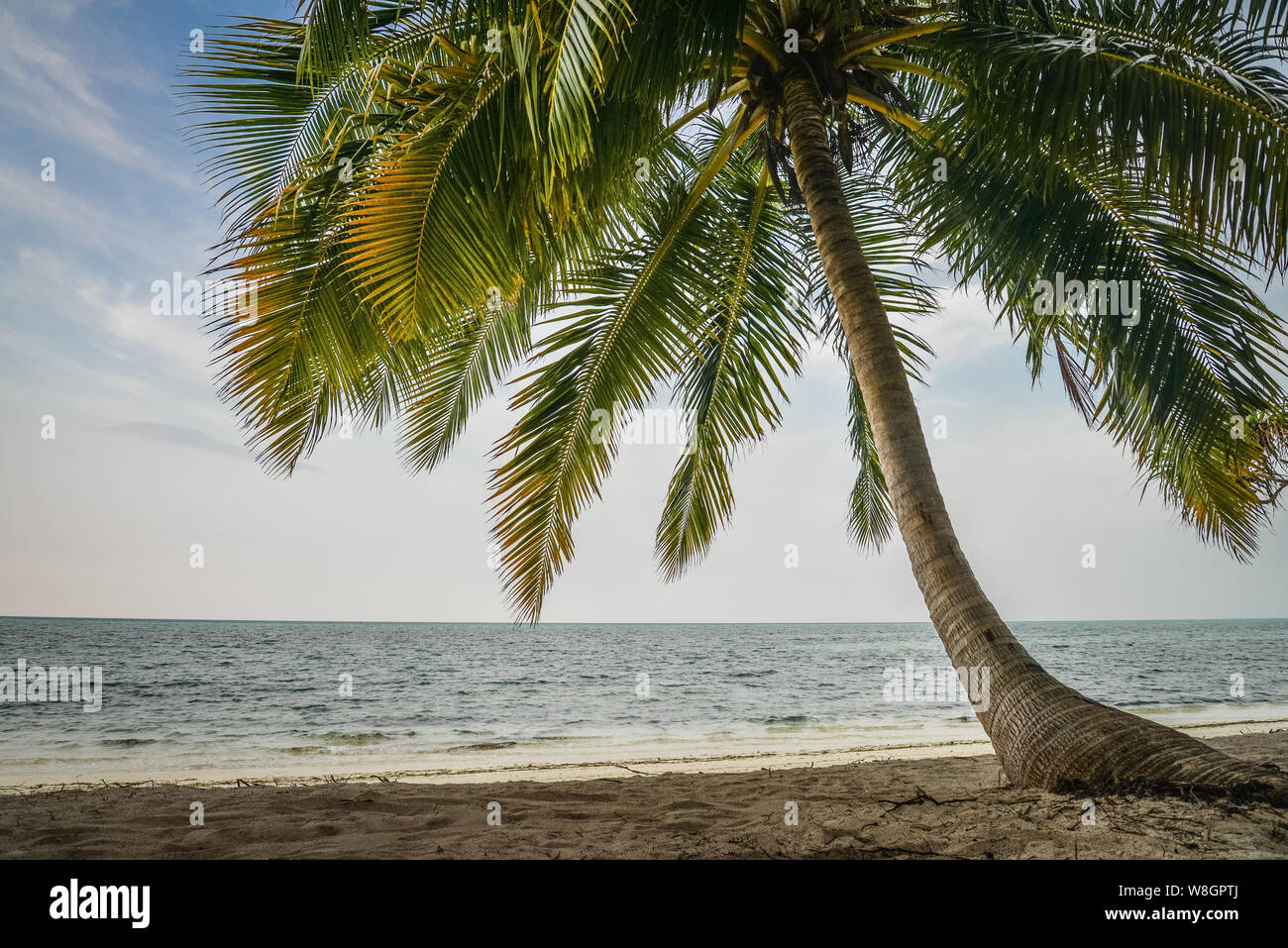 Paradise beach at sunny day on Fehendhoo island, Maldives Stock Photo ...