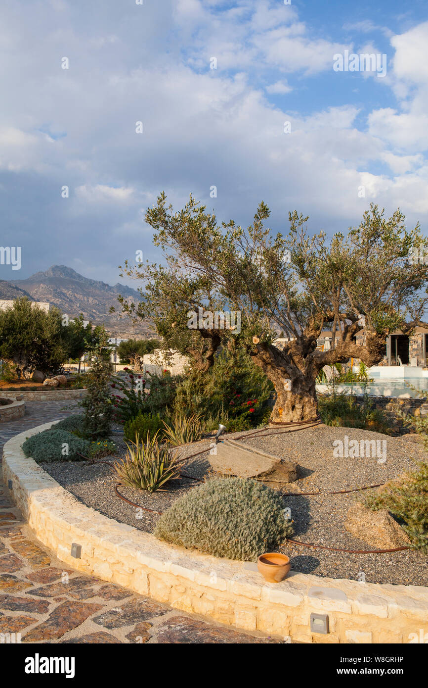 Ierapetra,Crete,Greece-October14,2018: Ostria Beach Resort & Spa is ...