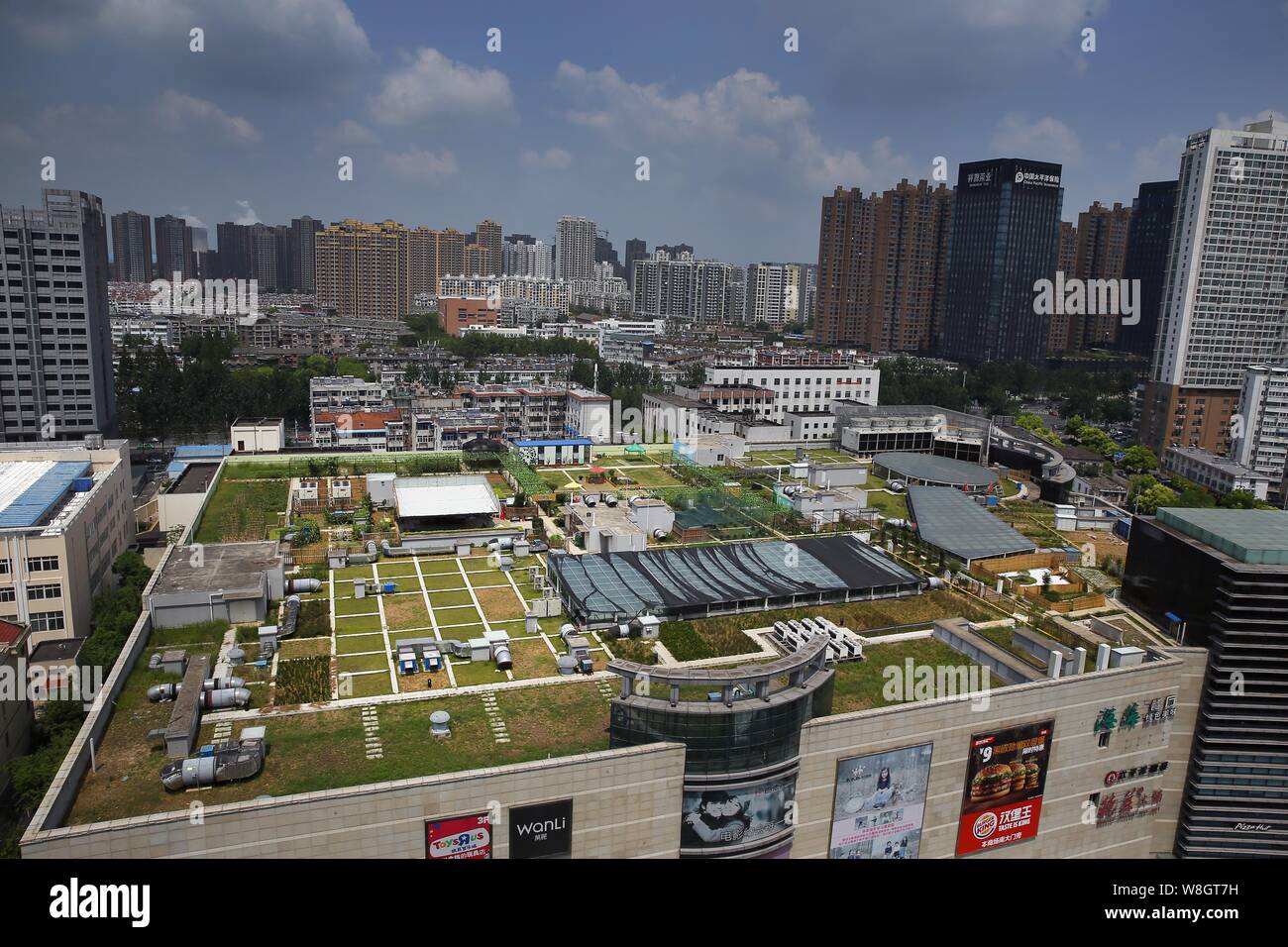 Aerial view of a garden on the rooftop of a shopping mall in Hefei city ...