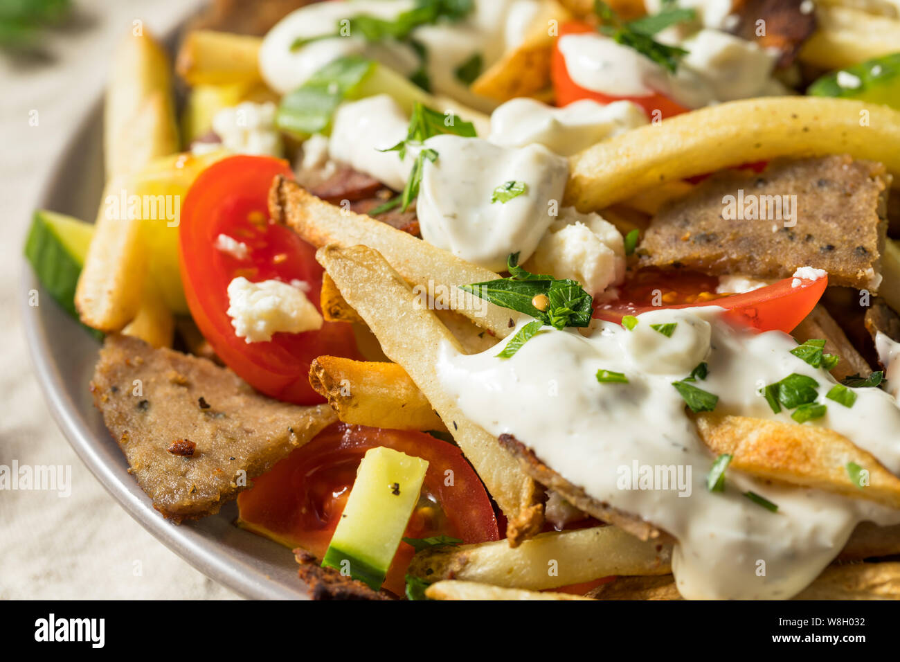 Homemade Greek Gyro Meat French Fries with Tzatziki Sauce Stock Photo ...