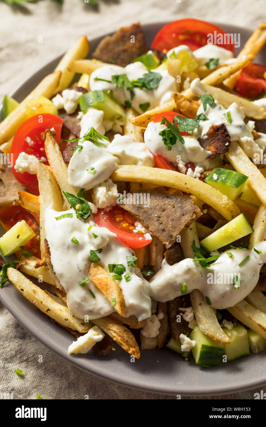 Homemade Greek Gyro Meat French Fries with Tzatziki Sauce Stock Photo ...
