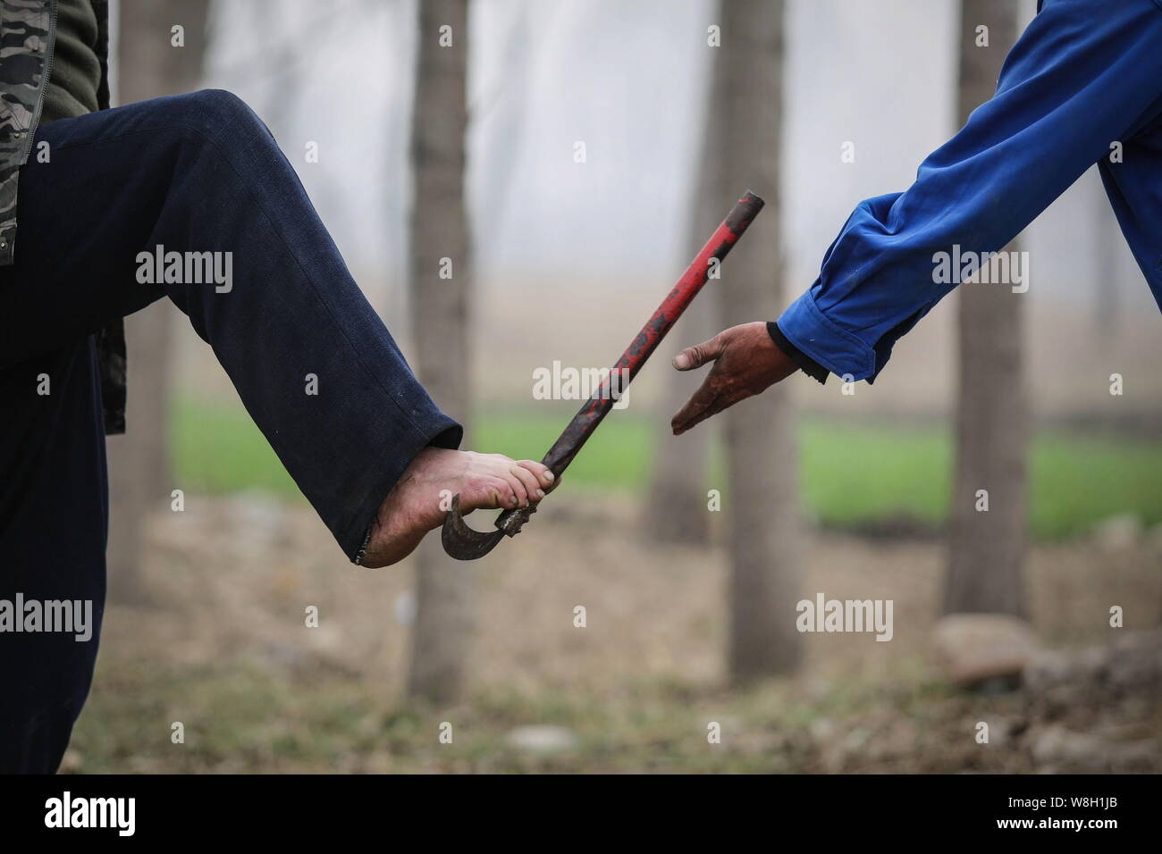 Wenqi hi-res stock photography and images - Alamy