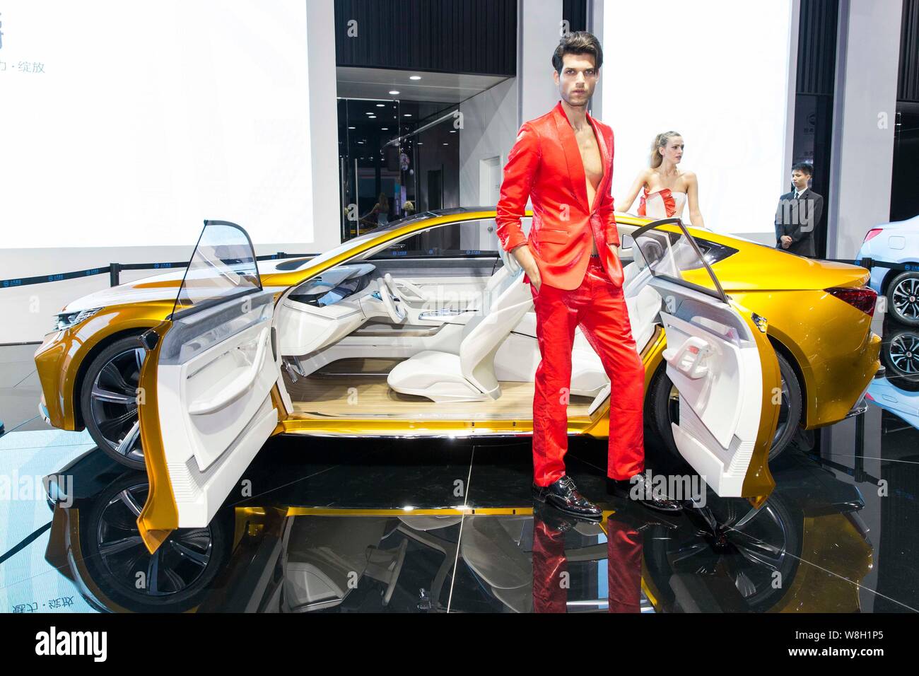 A Roewe Vision-R Concept is on display during the 13th China (Guangzhou ...