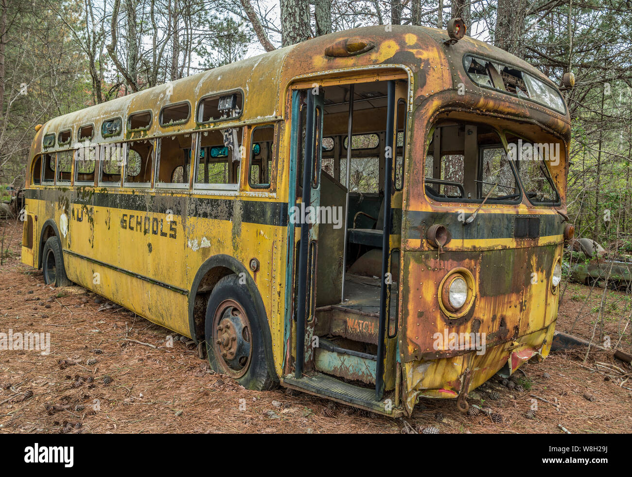 In the woods rusting and decaying is an old vintage 1950's school bus ...