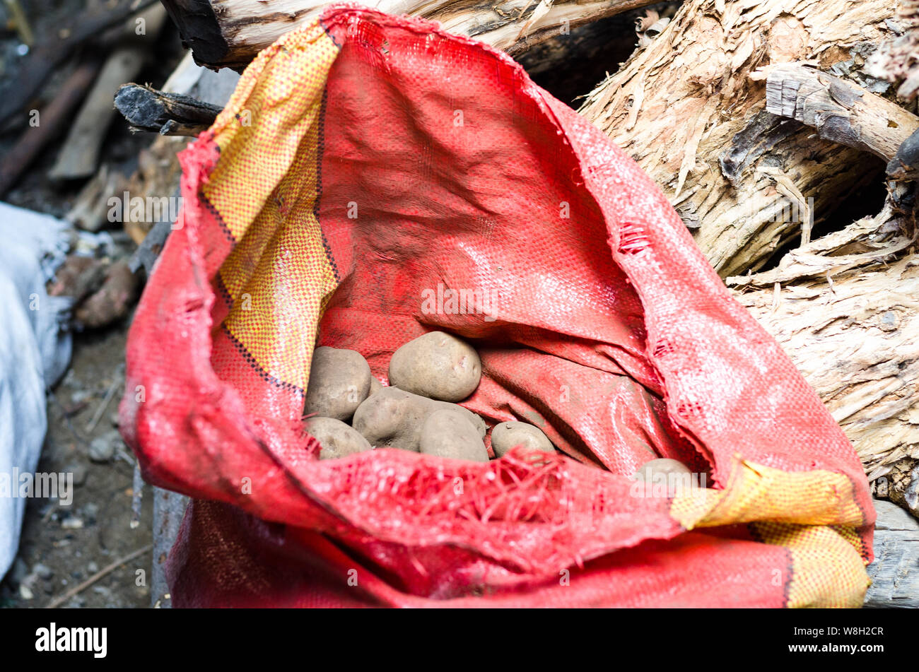 fresh raw potato in sack bag background from agriculture harvest ...
