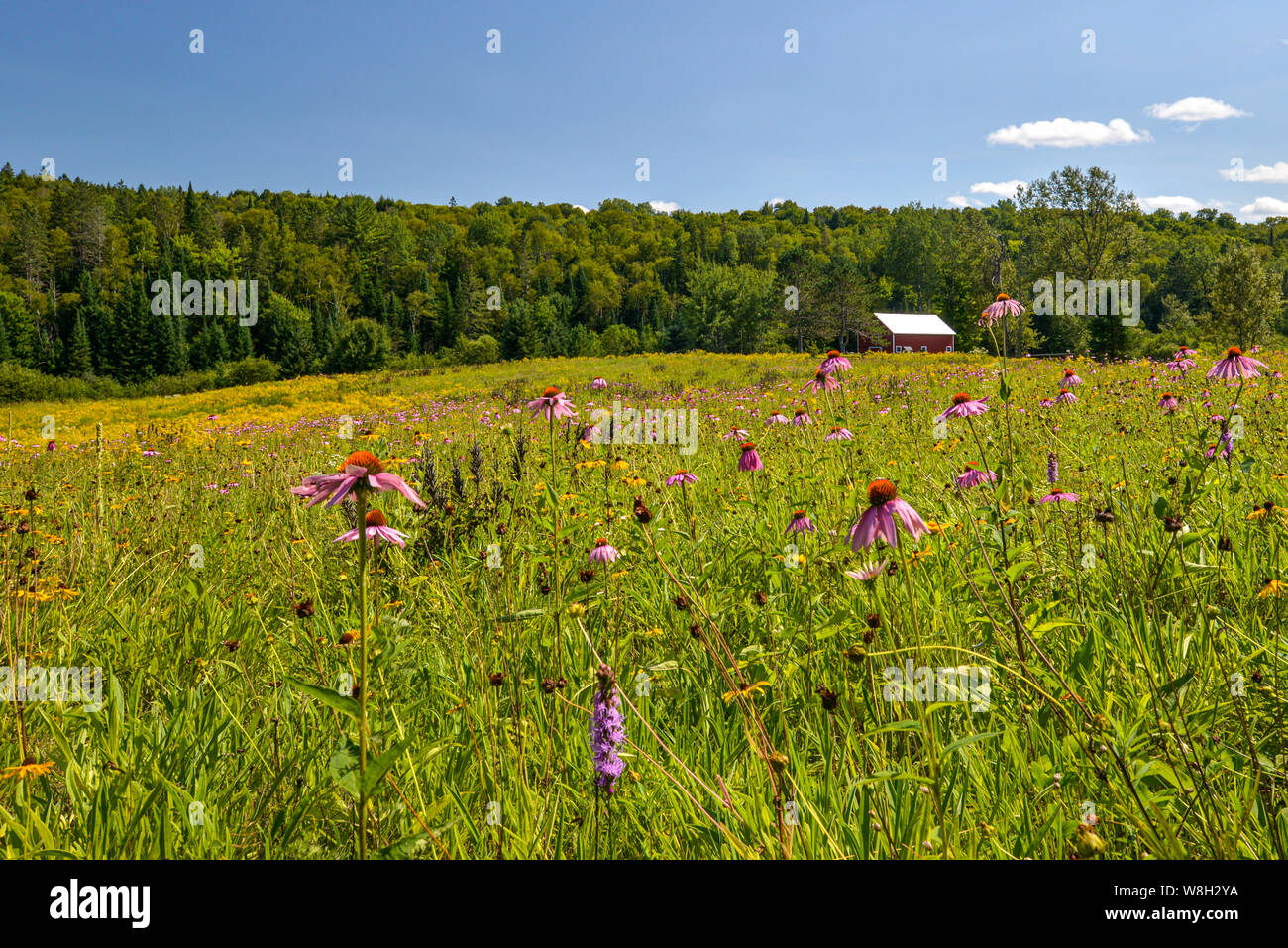 Arundel quebec hi-res stock photography and images - Alamy