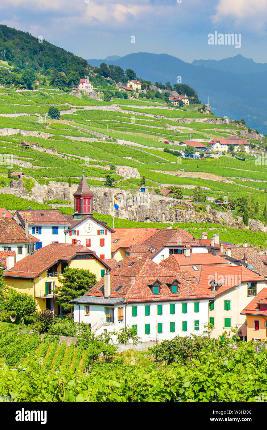 Vertical picture of picturesque village Rivaz located on slopes by ...