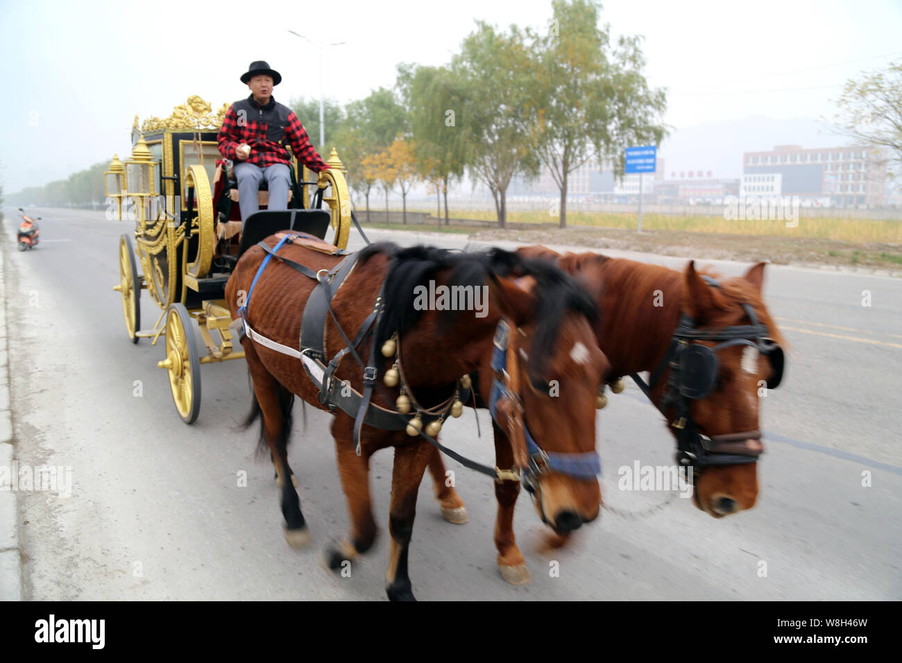 Chinese carriage pulled hi-res stock photography and images - Alamy