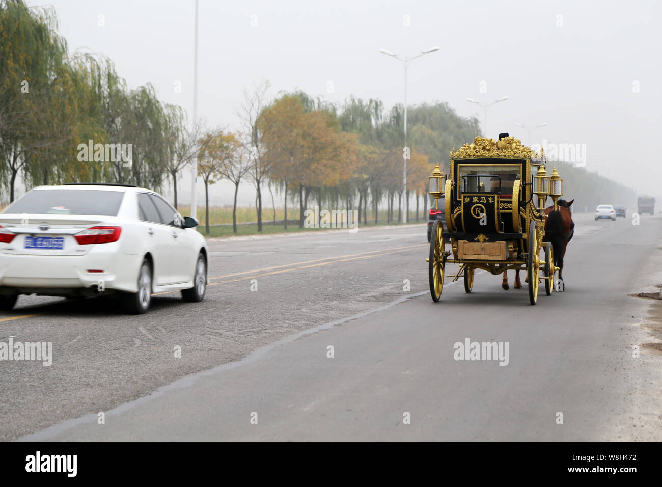 A carriage pulled by two horses travels on a road in Pingliang city ...