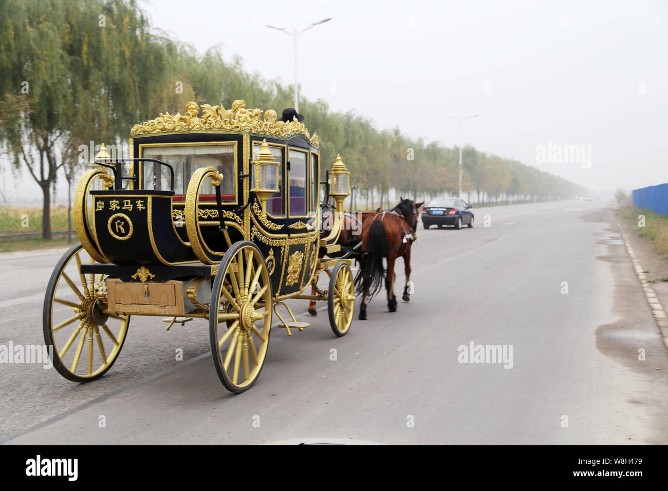 A carriage pulled by two horses travels on a road in Pingliang city ...