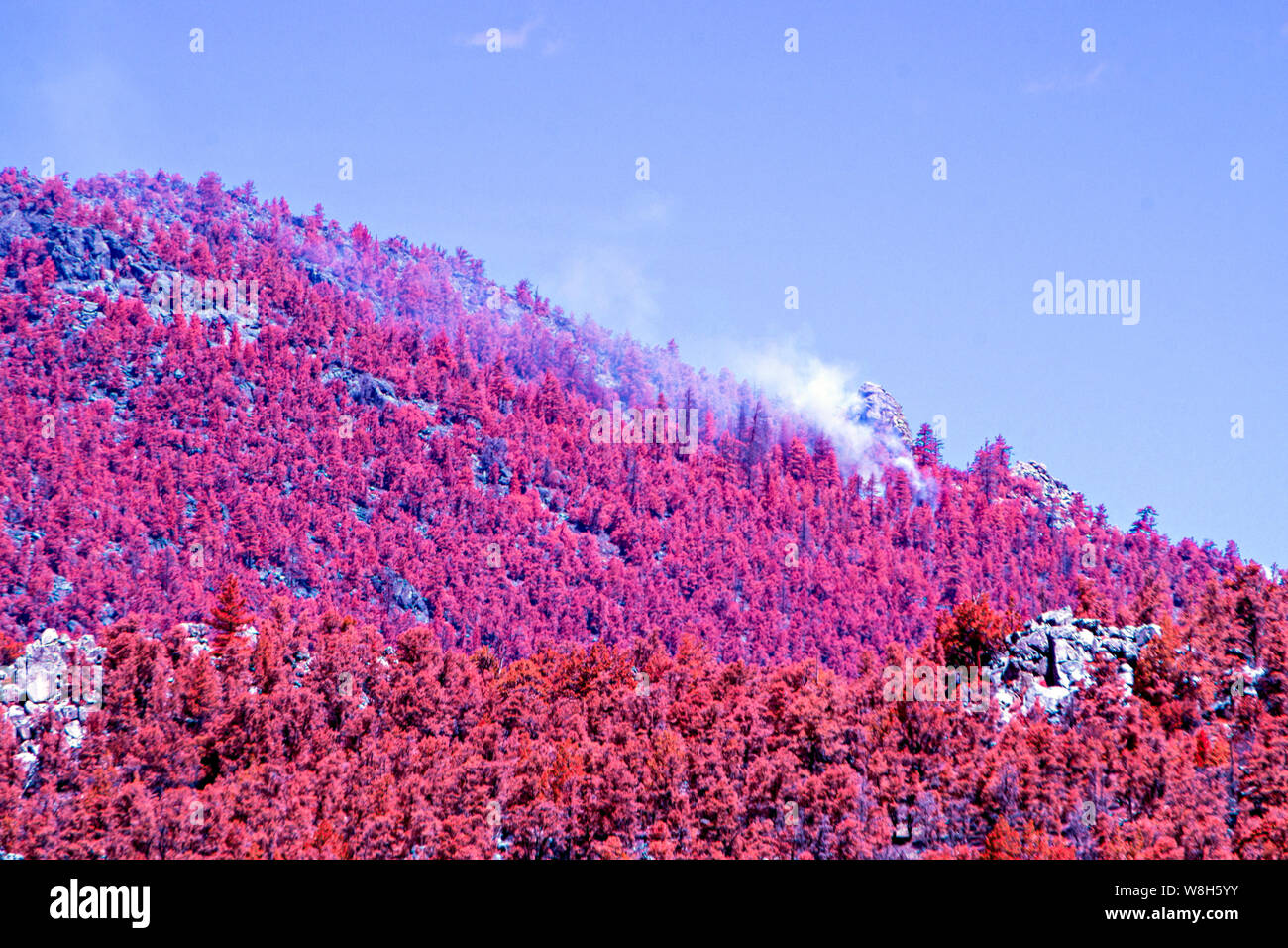 Smoke from forest fire on mountain top covered in reddish trees under ...