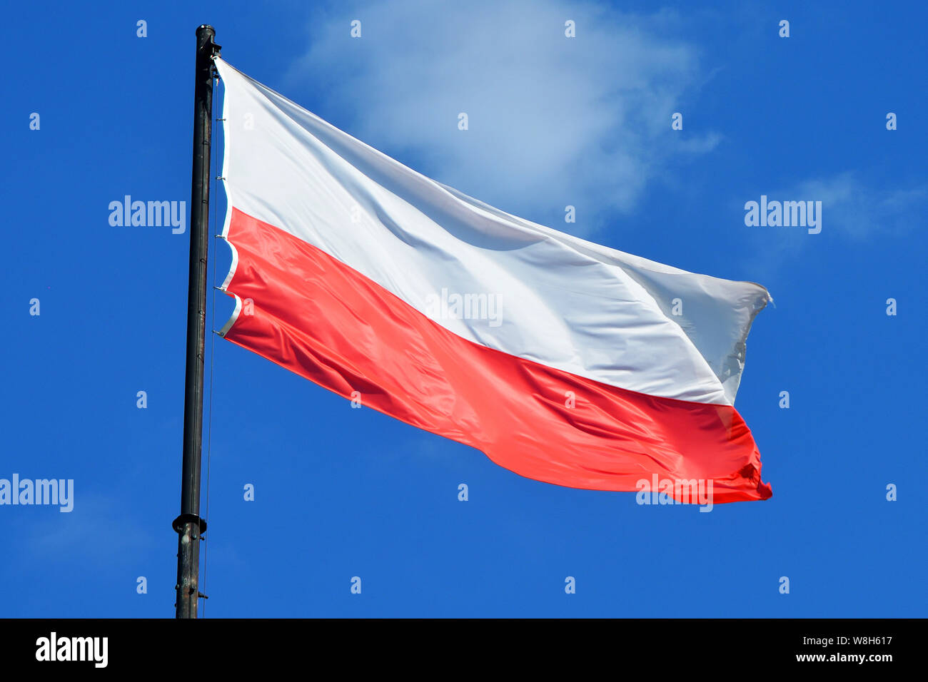 Polish national flag in Poznan - Poland Stock Photo - Alamy