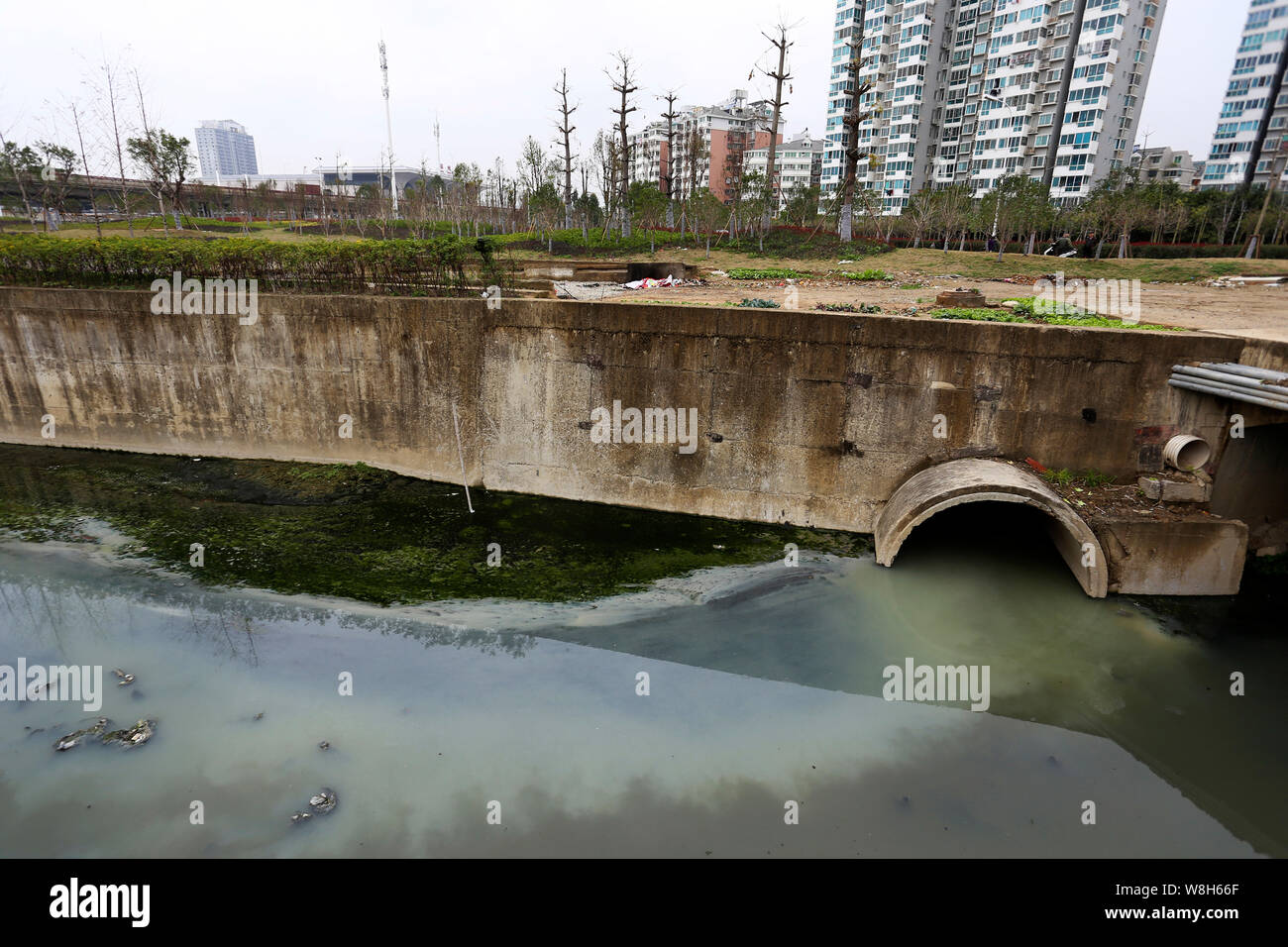 Polluted river china hi-res stock photography and images - Alamy