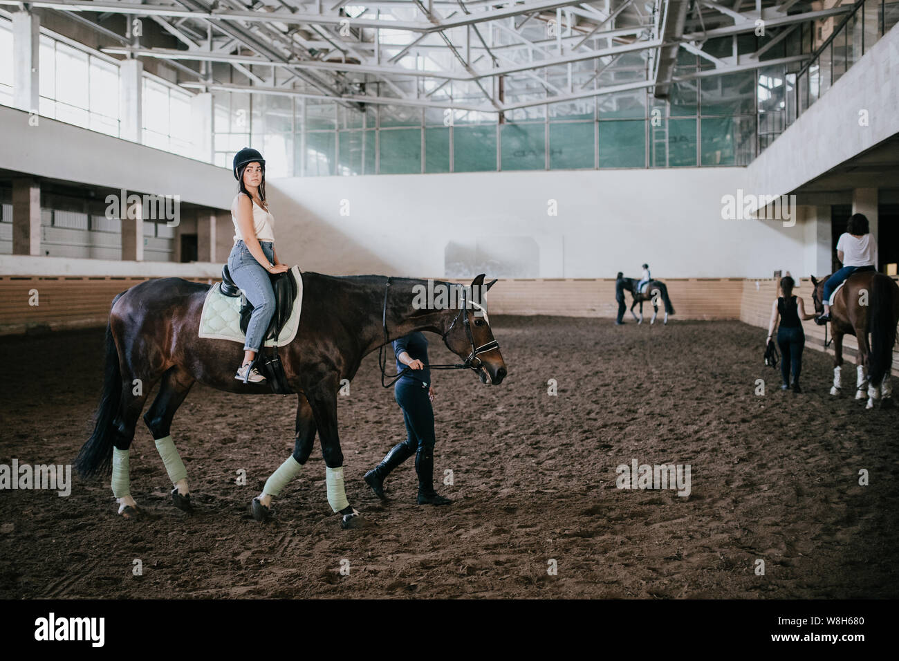 Horses and visitors to the equestrian base, horseback riding. Feeding ...