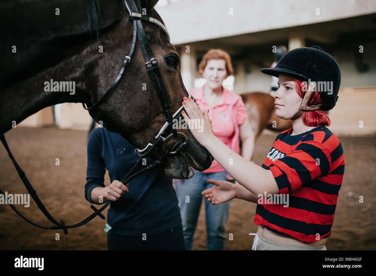 Horses and visitors to the equestrian base, horseback riding. Feeding ...