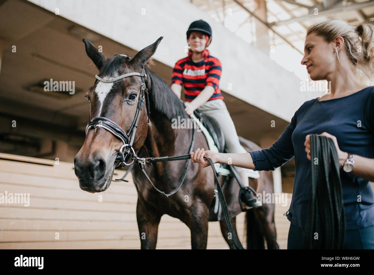 Horses and visitors to the equestrian base, horseback riding. Feeding ...