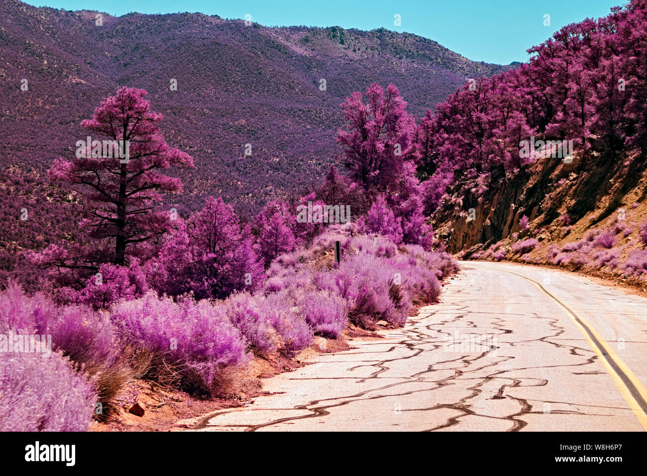 Double Yellow Lines On Pavement High Resolution Stock Photography and ...