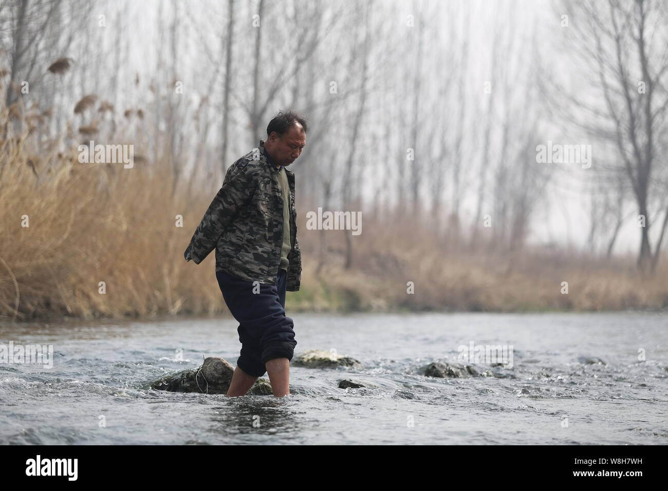 Jia Wenqi High Resolution Stock Photography and Images - Alamy