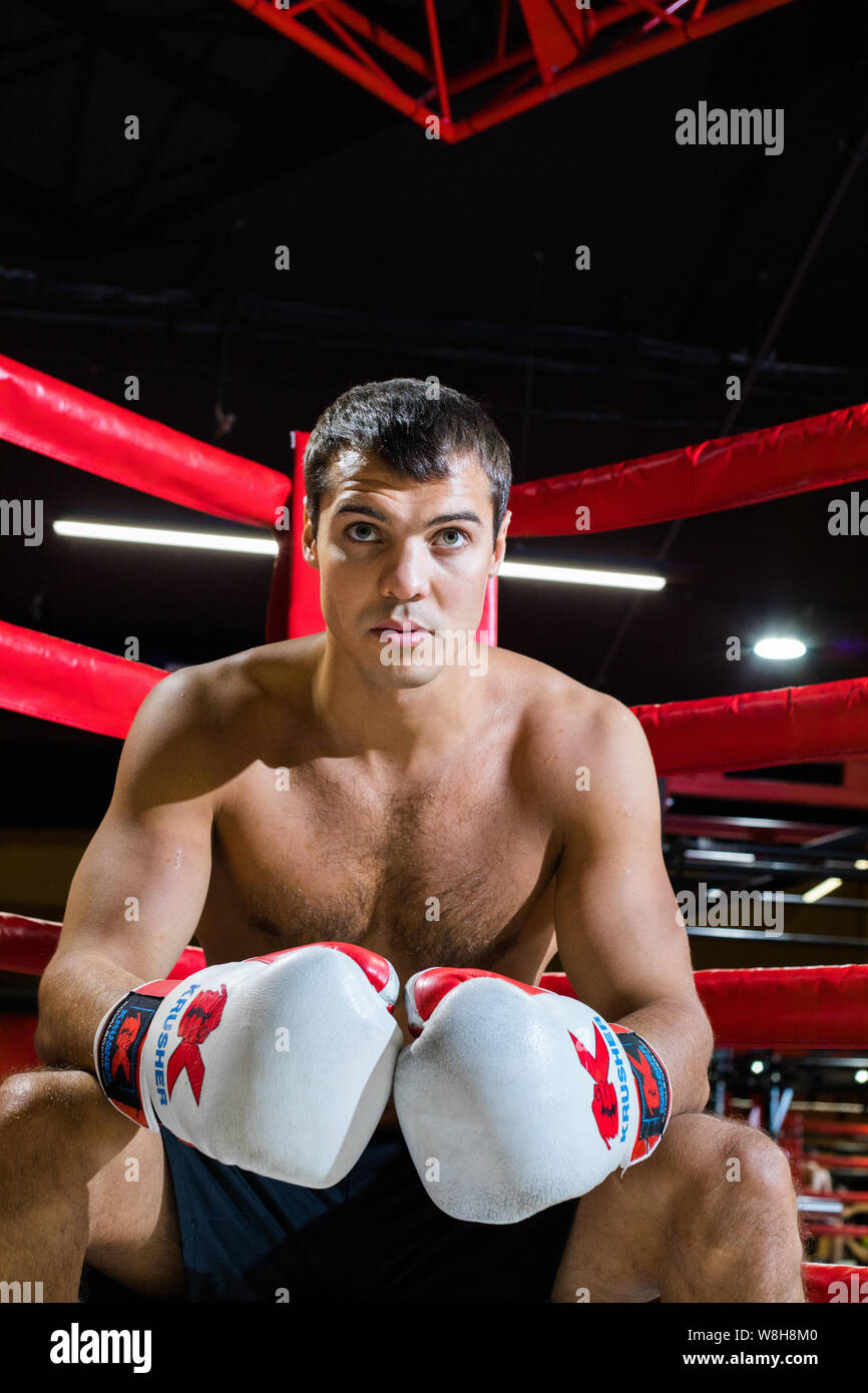 Two handsome boxer boxing hi-res stock photography and images - Alamy