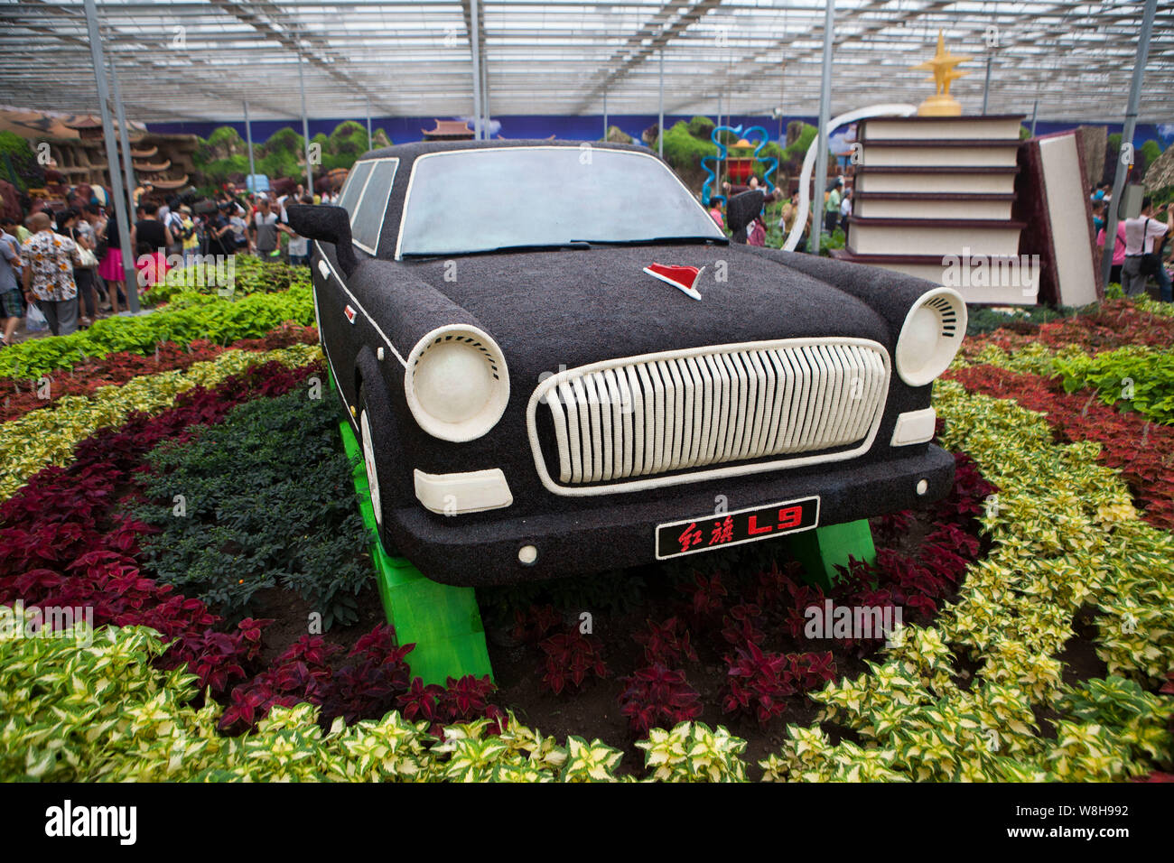 Faws hi-res stock photography and images - Alamy