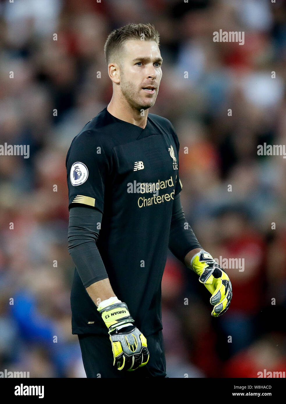 Liverpool goalkeeper Adrian during the Premier League match at Anfield ...