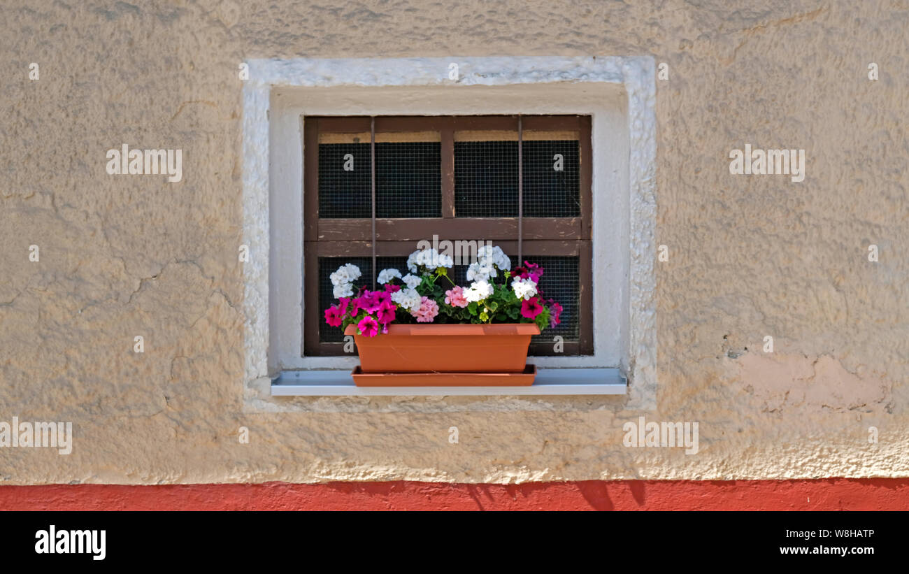 Mysterious window with flowers arousing curiosity Stock Photo - Alamy