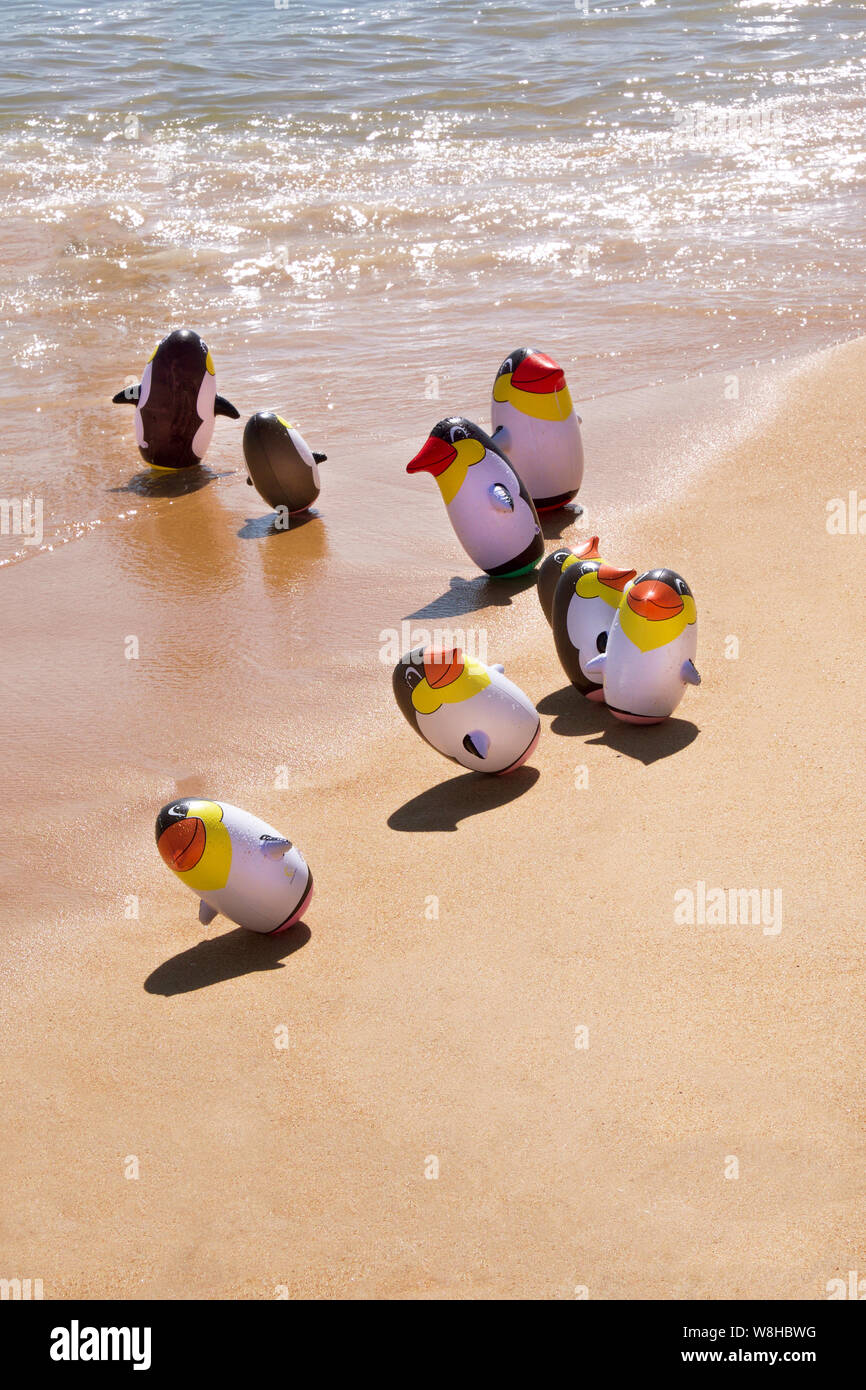 Eight inflated blow up penguins on the sea shore, half of them are in ...