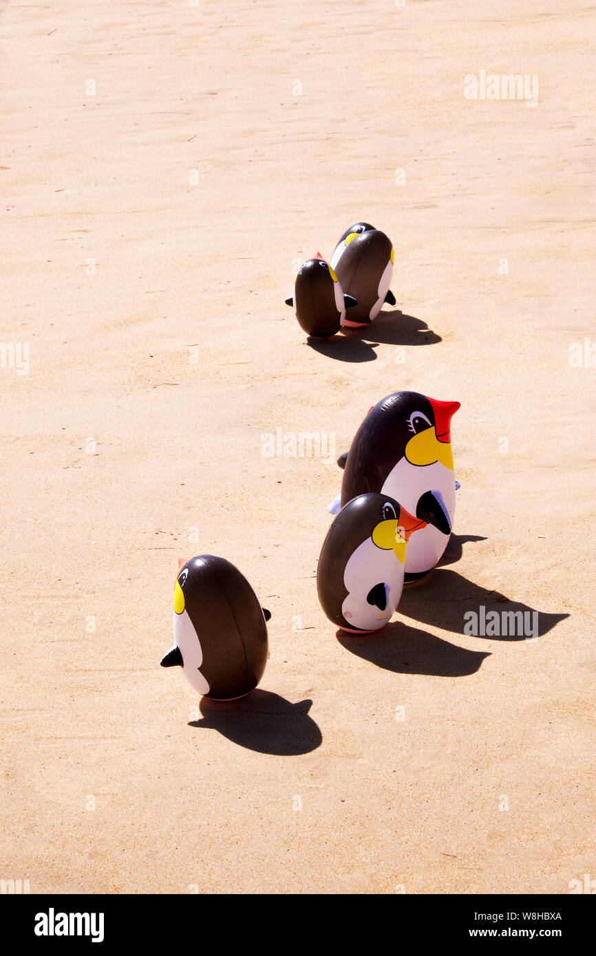 five inflated blow up penguins on the sea shore, half of them are in ...